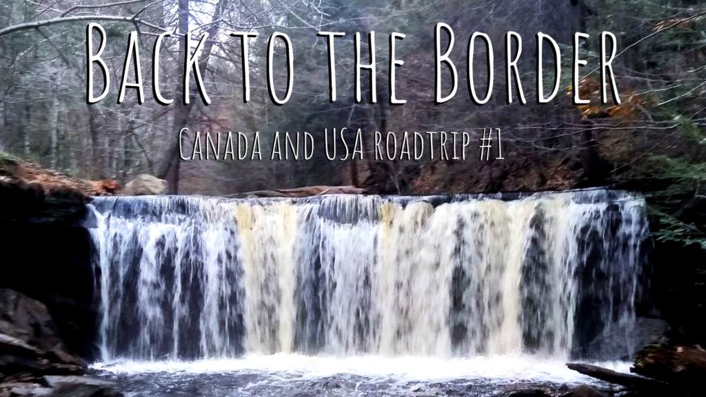 Back to the Border | Moosing Around
