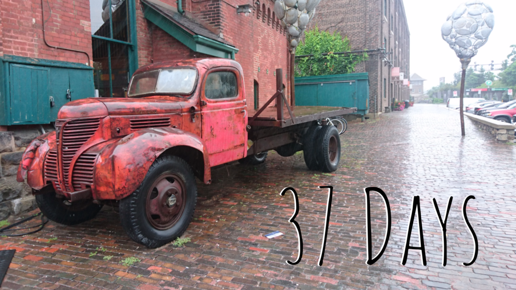 37 Days | Moosing Around