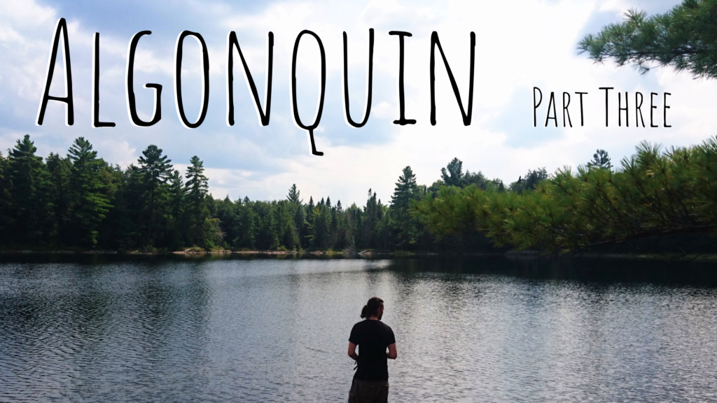 Algonquin Park, Part III | Moosing Around